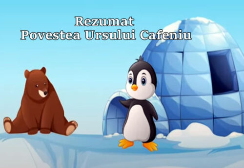 Povestea Ursului cafeniu rezumat | Carti